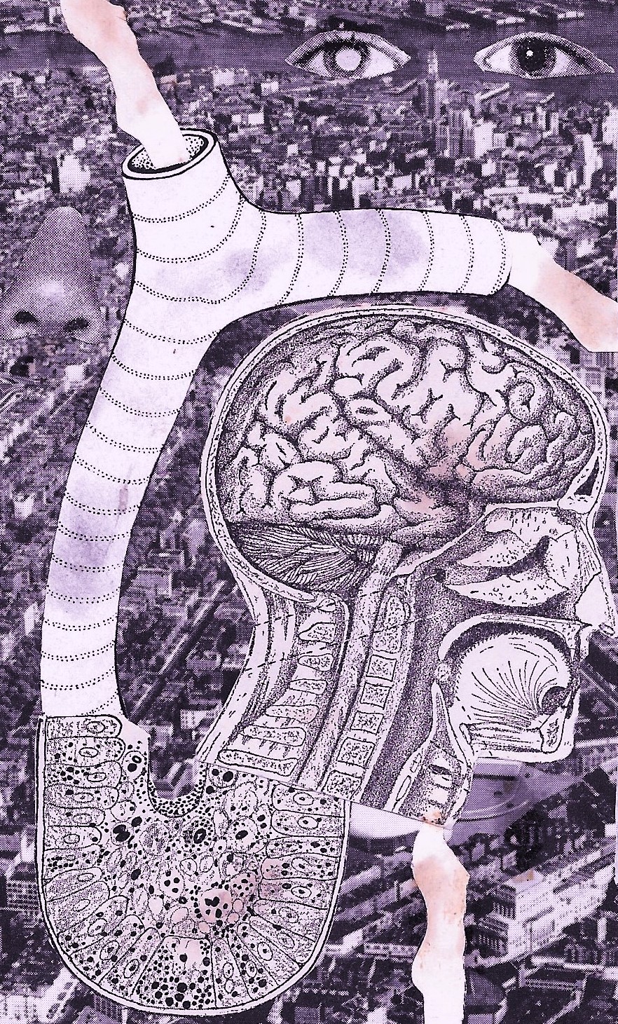 Dream Pop Journal :: Issue #1 :: Summer 2017 – Dream Pop Press